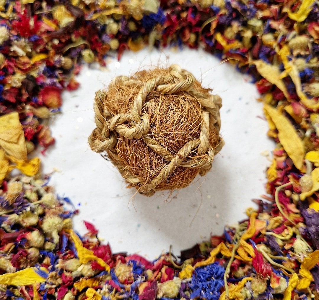 Coco Coir Ball | Pride Rock Blooms