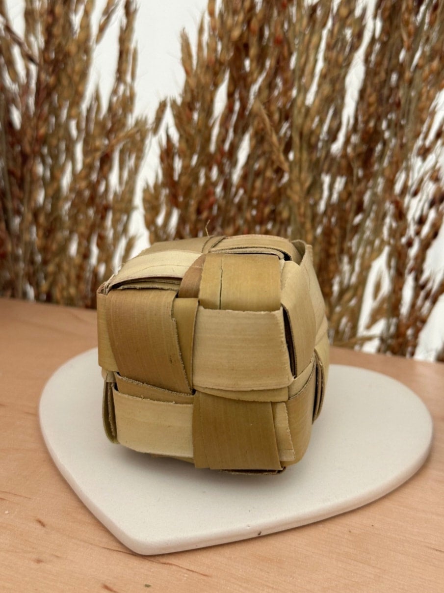 Palm Cube | Pride Rock Blooms