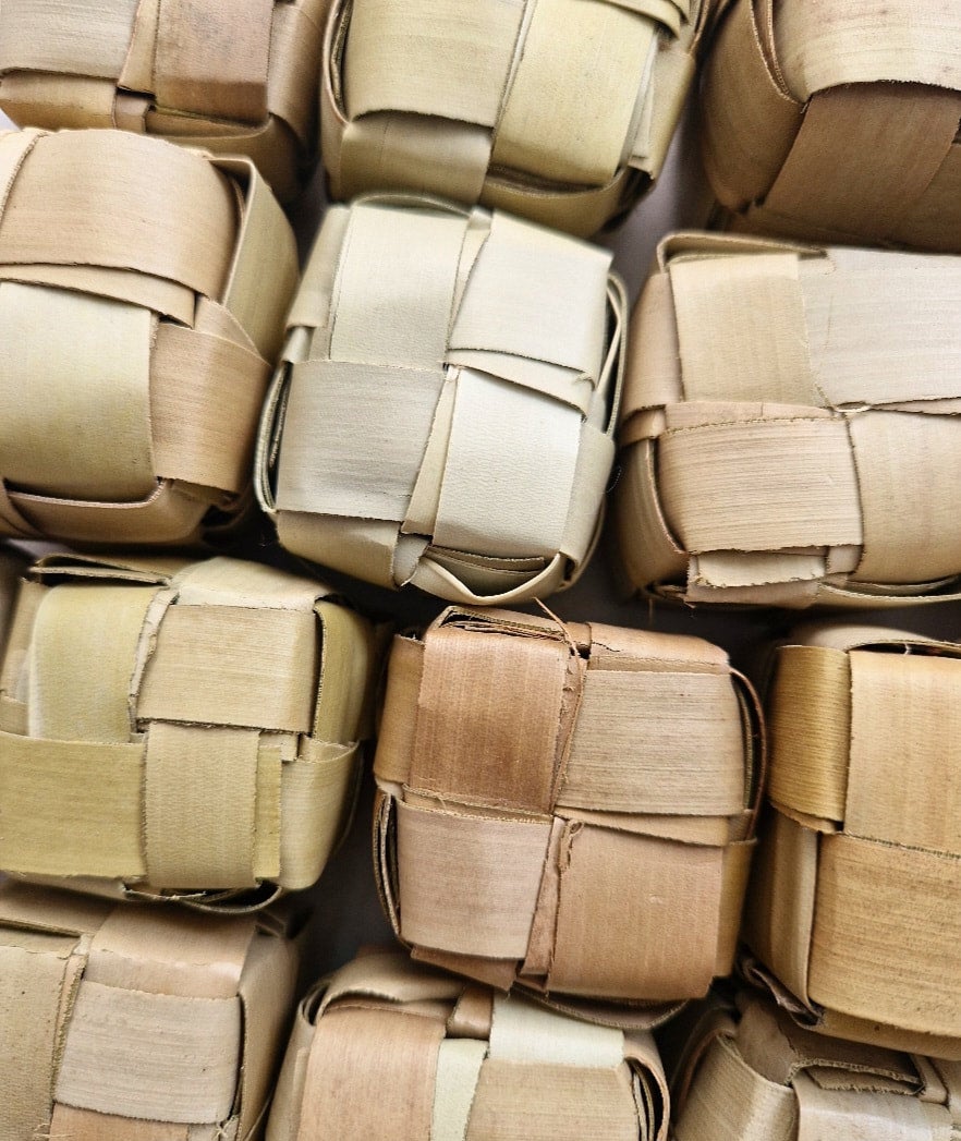 Palm Cube | Pride Rock Blooms